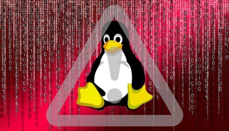 Linux Malware Found to Be at an All-Time High in 2022